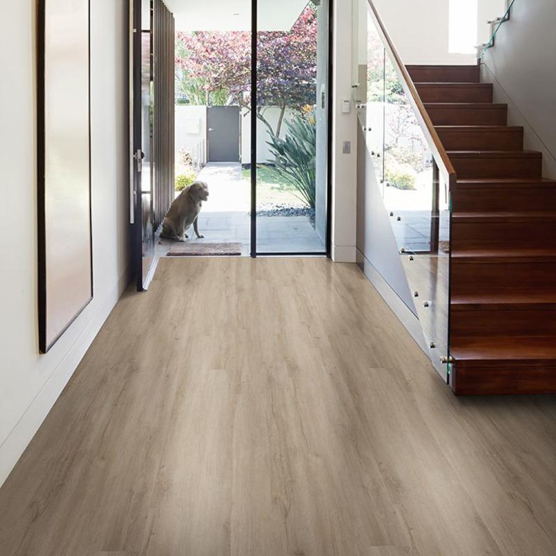 MSI Everlife Cyrus Sandino | OnFlooring